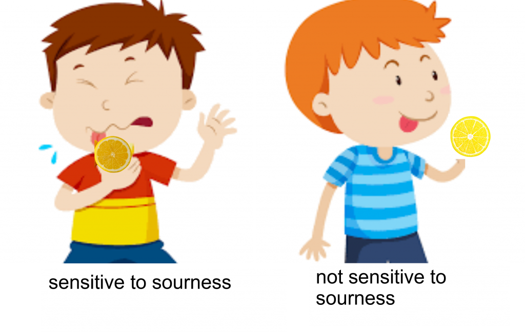 New paper: Does Responsiveness to Basic Tastes Influence Preadolescents ...